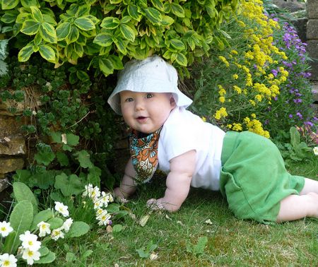 PLANTELE OTRAVITOARE - UN REAL PERICOL PENTRU COPII
